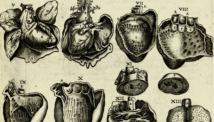 Historical Medical Library Collections | Mütter Museum