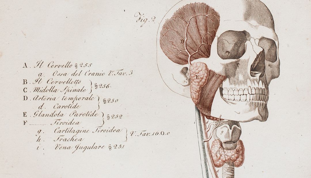 Historical Medical Library Collections | Mütter Museum