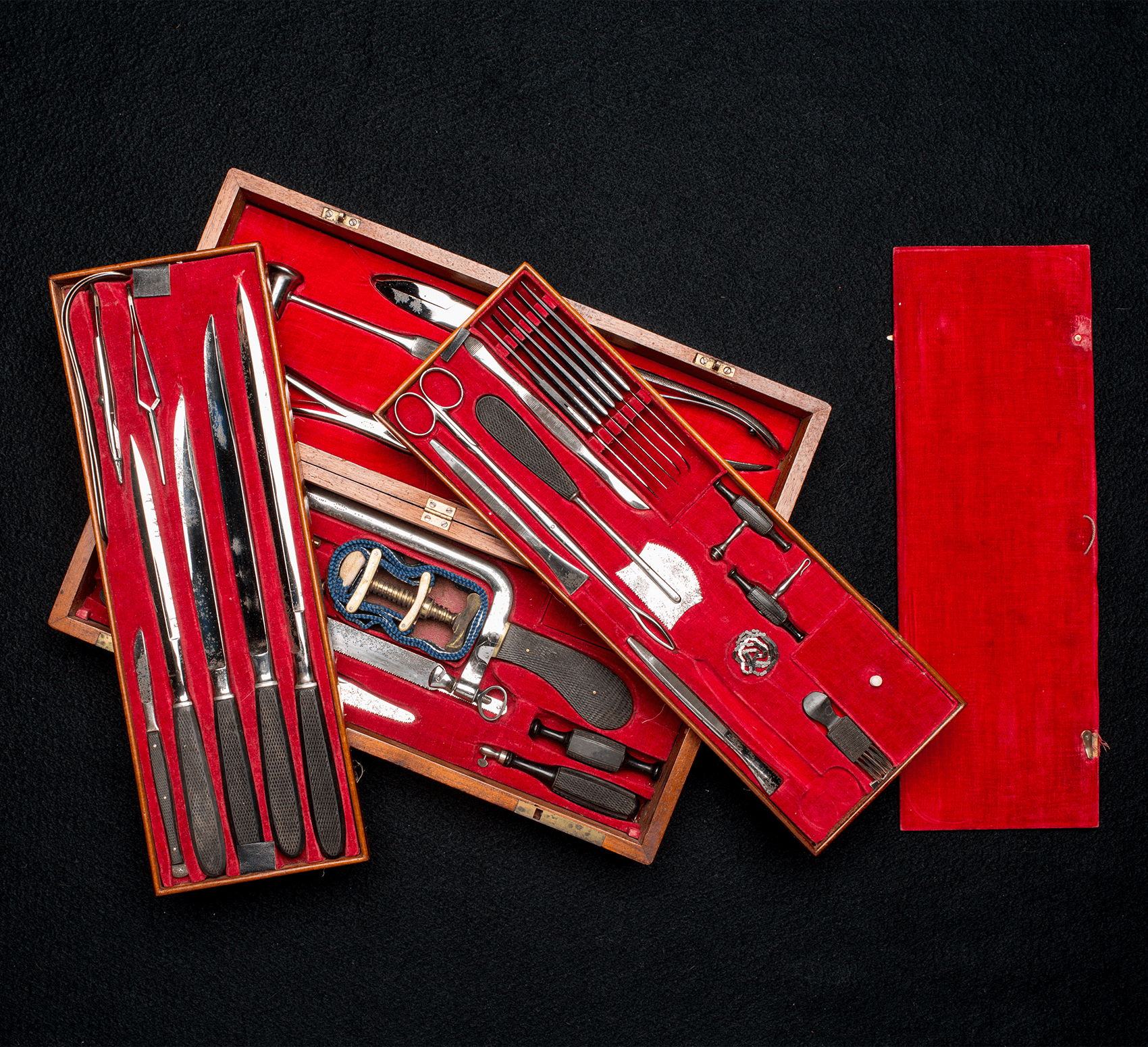 Museum Collections | Mütter Museum